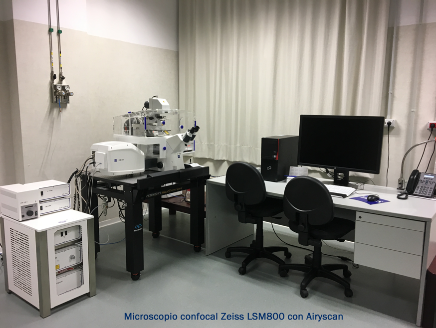 Microscopio Confocal – Servicio de Microscopí­a Avanzada Confocal y ...